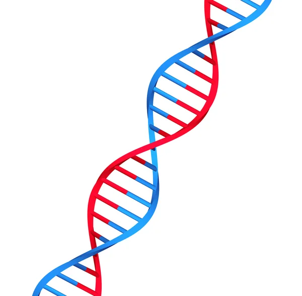 Double Helix Dna Strand — Stock Vector © fizzgig #1507428 Double Helix Dna Strand — Stock Vector © fizzgig #1507428
