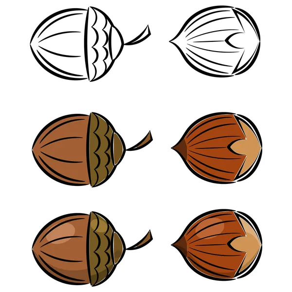 Dibujos animados conjunto de im genes vectoriales de avellana y bellota. eps10 2024