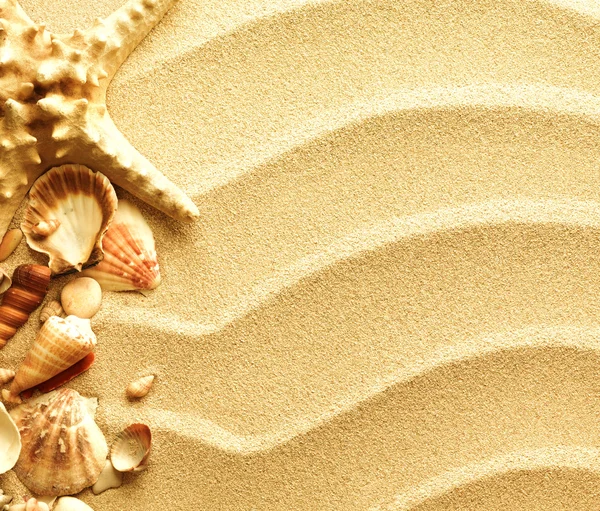 Sea shells with sand as background Stock Photo by ©smaglov 7676864