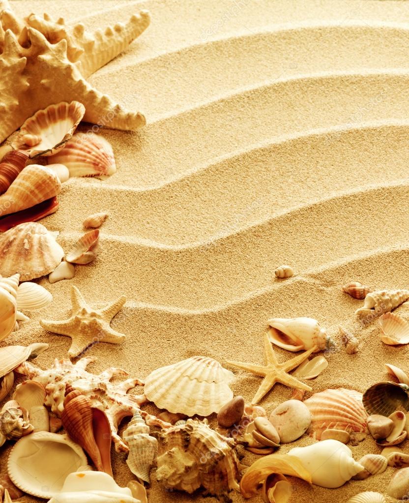 Beach Sand With Shells Wallpaper