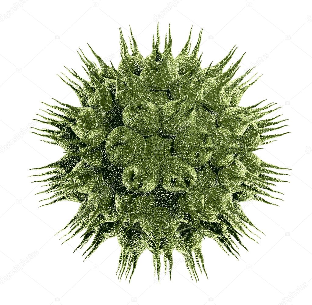 Bacteria virus render in green color isolated on white Stock Photo by ...