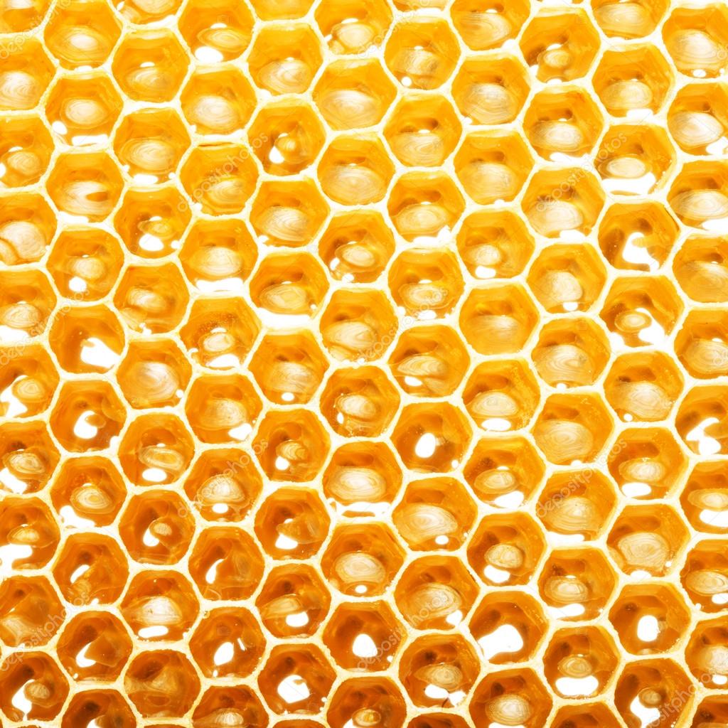 Unfinished honey in honeycombs Stock Photo by ©smaglov 21812869