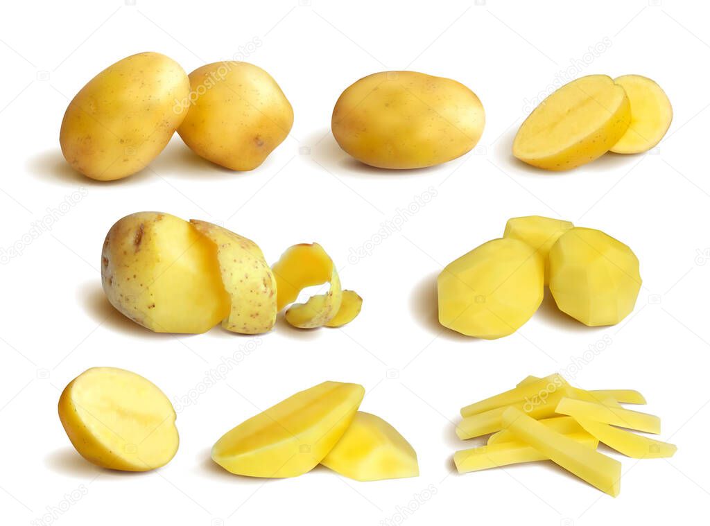 Set Papas Ilustración Vectorial Aislada Vector de stock por ©urfingus ...