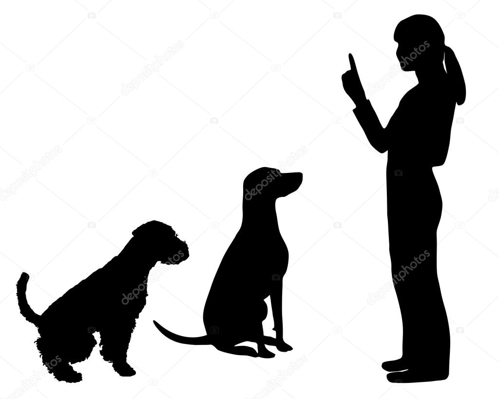 Dog Training Stock Vector Image by ©lantapix #48642089