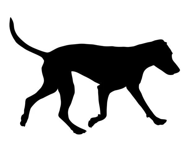 Dog training silhouette Vector Art Stock Images | Depositphotos