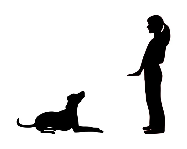 Dog training silhouette Vector Art Stock Images | Depositphotos