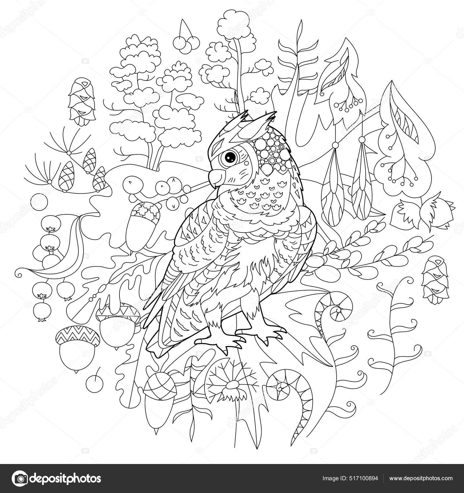 Cute Bird Owl Forest Doodle Style Black White Background Funny Stock ...