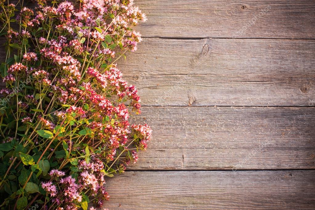 Flowers on wooden background Stock Photo by ©Kruchenkova 23380300