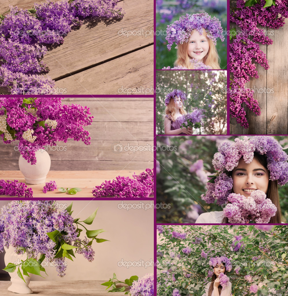 Collage with beautiful lilac Stock Photo by ©Kruchenkova 45060487