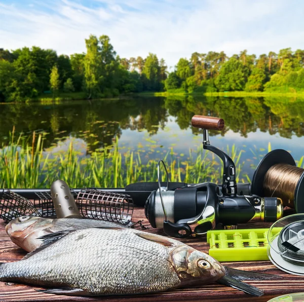 Fishing tackle and caught fish — Stock Photo © doroshin #49462911