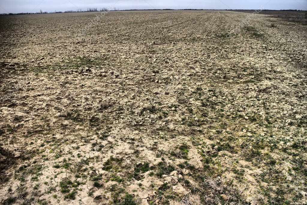 Salinización como resultado del riego insostenible (salinización ...