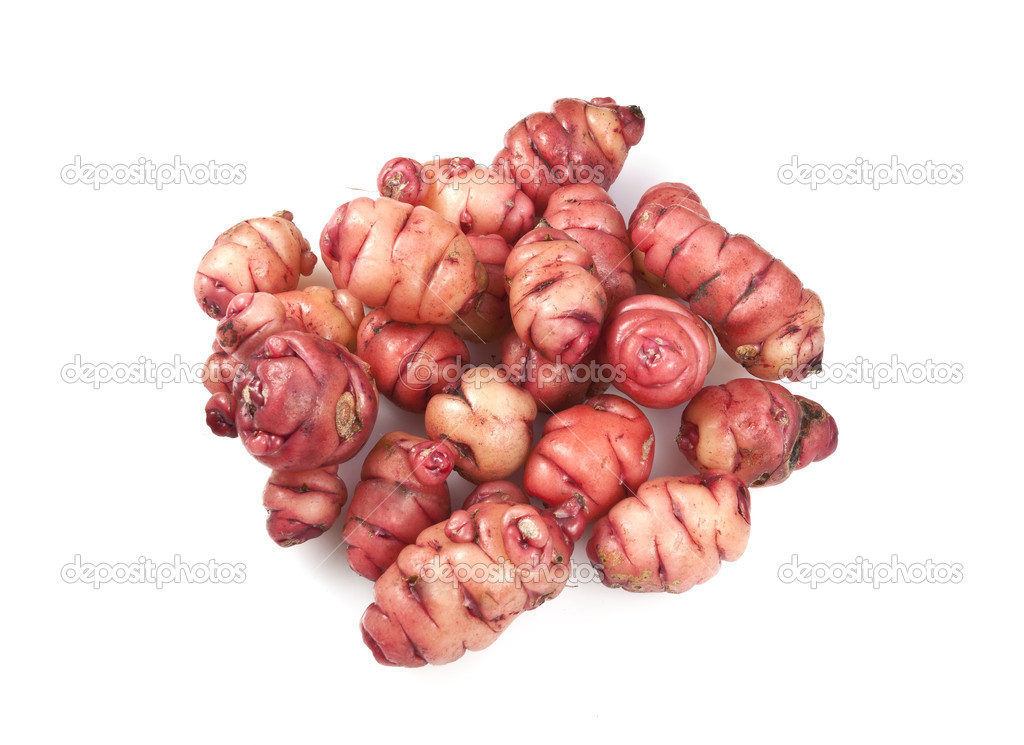 Oca Tuber