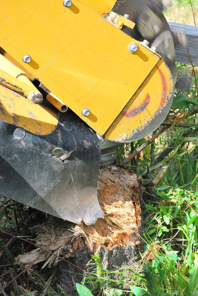 Tree stump machine. — Stock Photo © oscarcwilliams #37651625