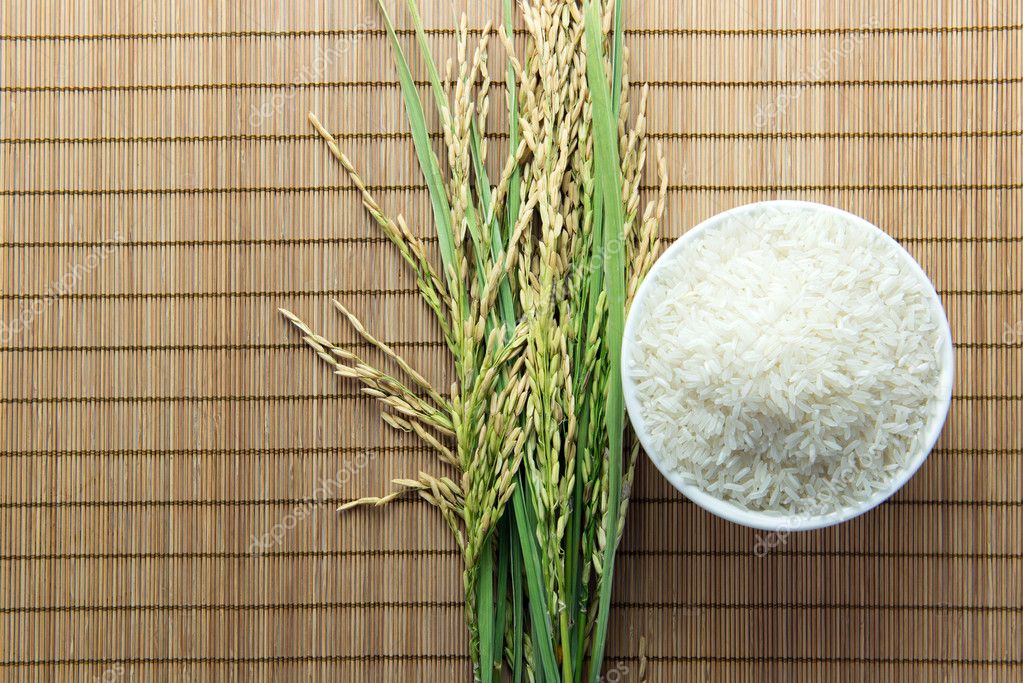 Paddy and rice grain — Stock Photo © shirotie #34913475