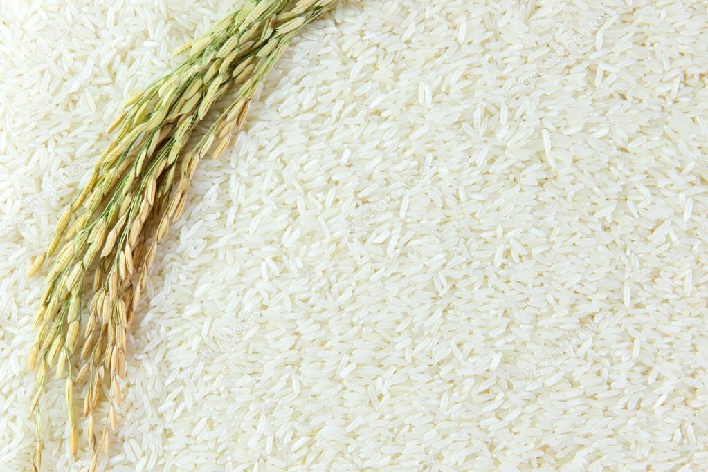 Rice grain Stock Photo by ©shirotie 34920937