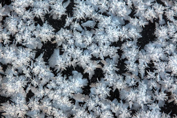 Macro snow crystal textures, background — Stock Photo © spopov #40500939