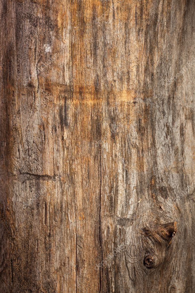 Wood texture — Stock Photo © artjazz #36590821