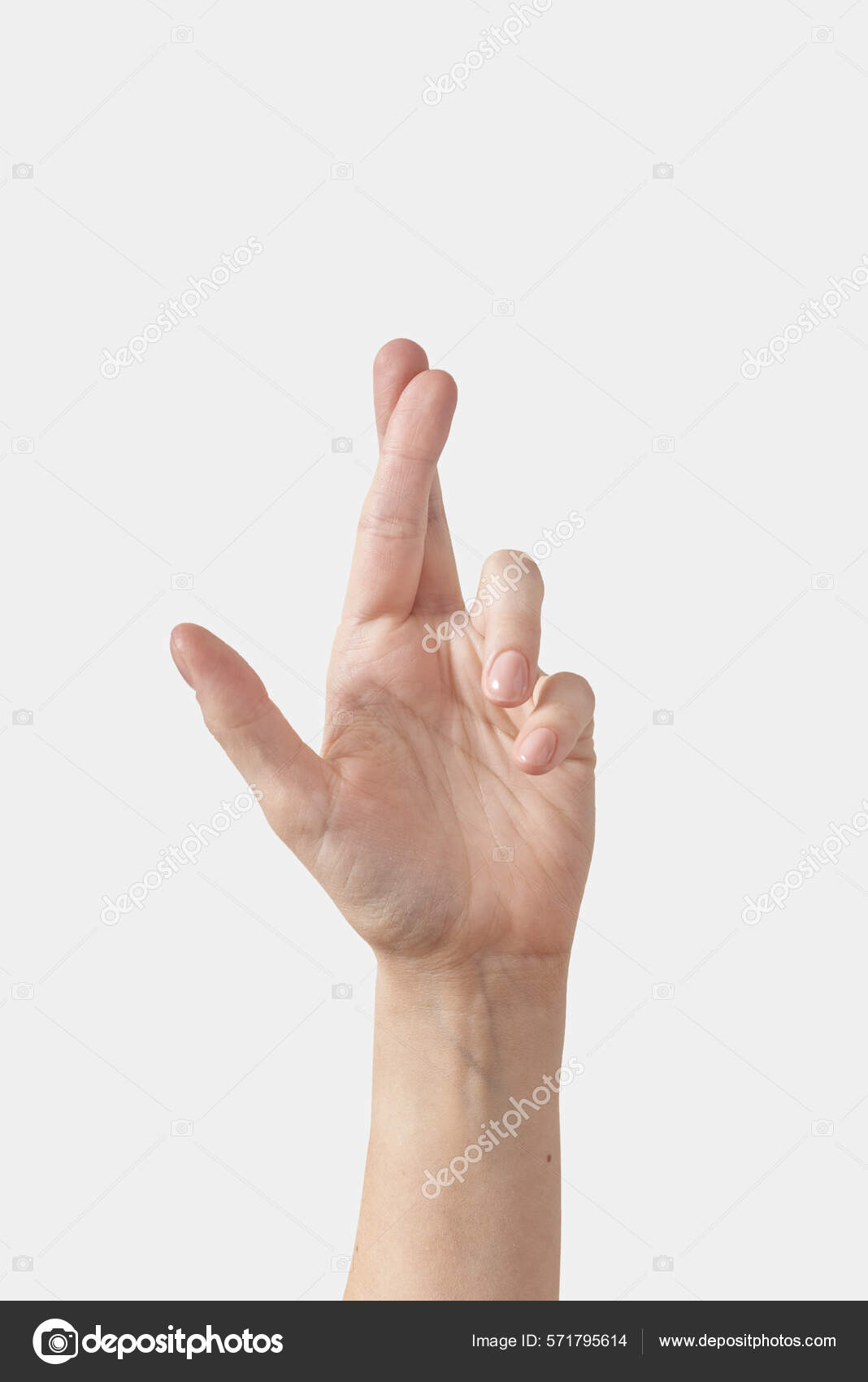 Female Hand Sign Language Crossed Index Middle Fingers Isolated White ...