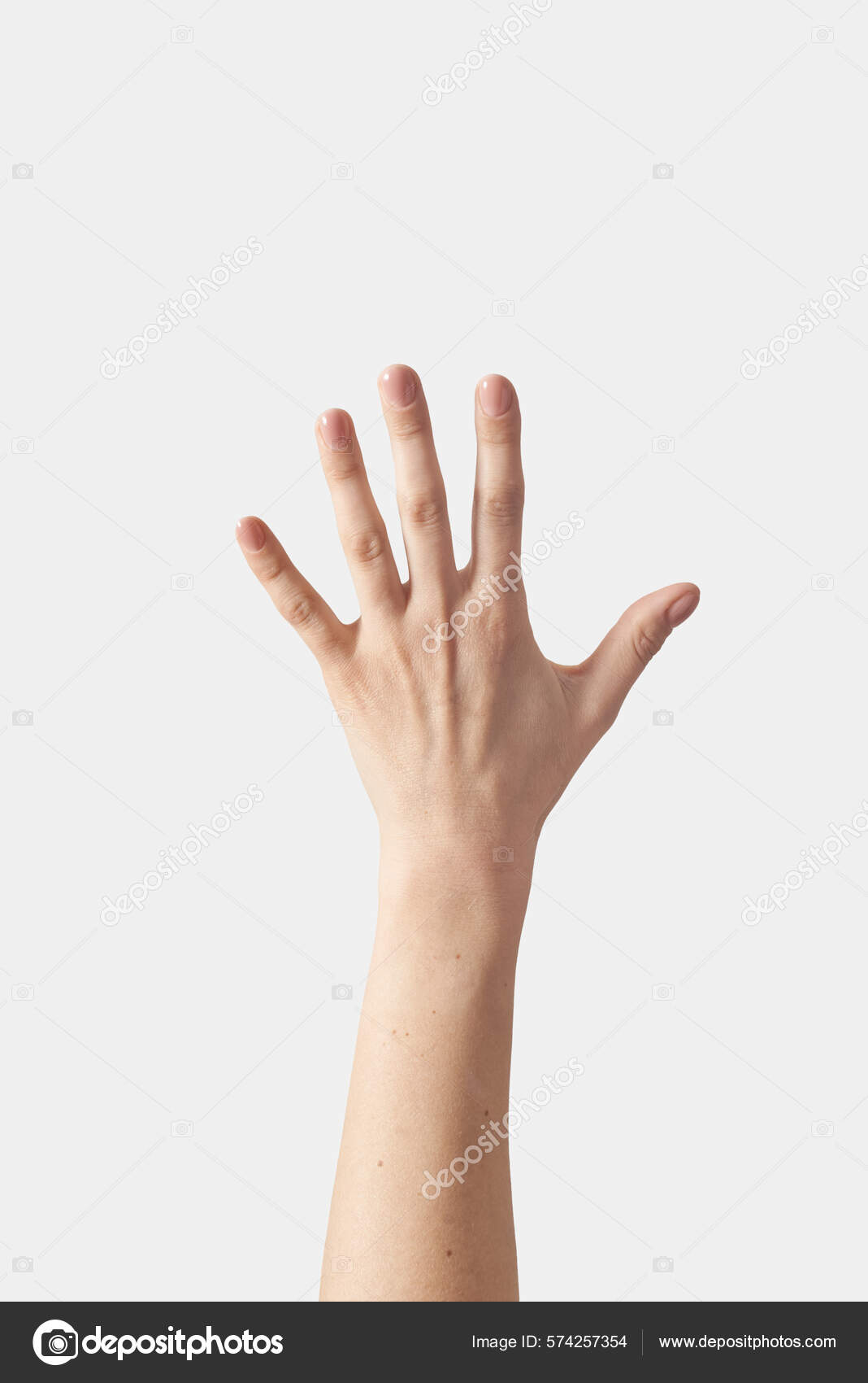 Numeric Count Fingers Female Outer Hand Wrist Vertical Position Five ...