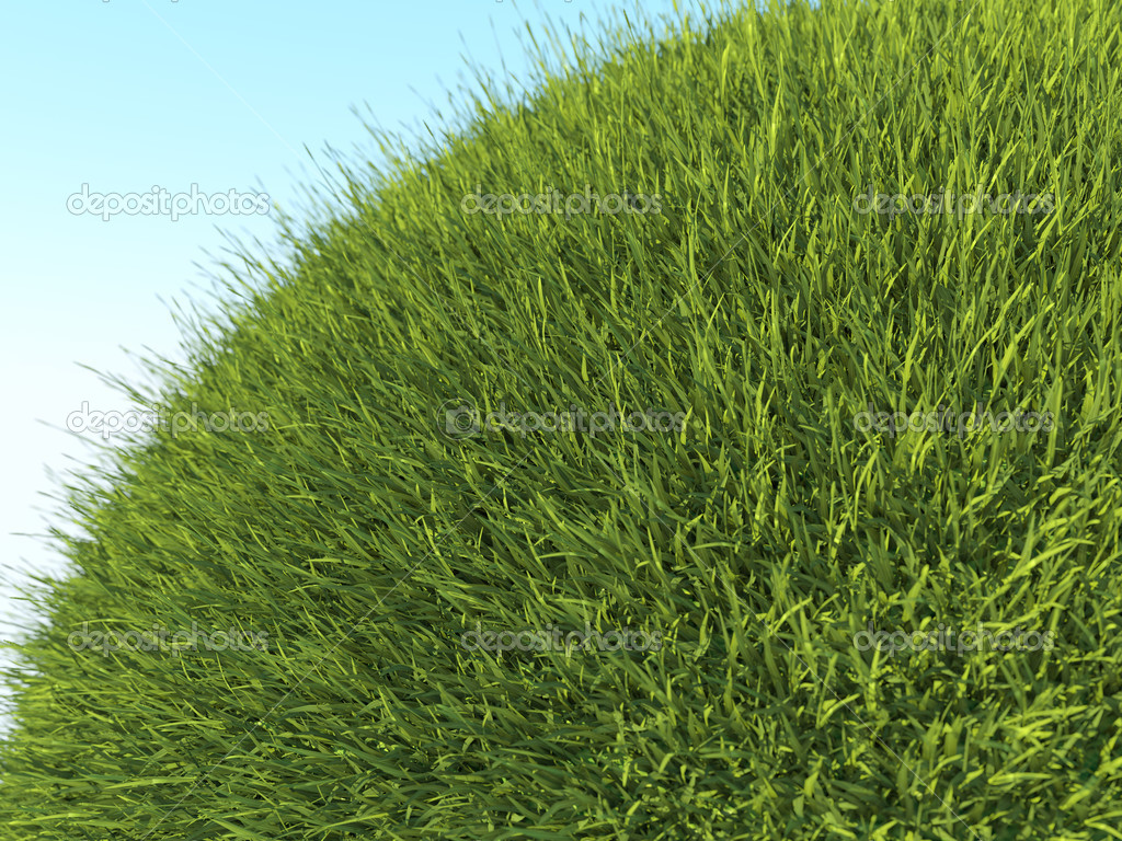 Green planet: close up of fresh grass and blue sky — Stock Photo ...