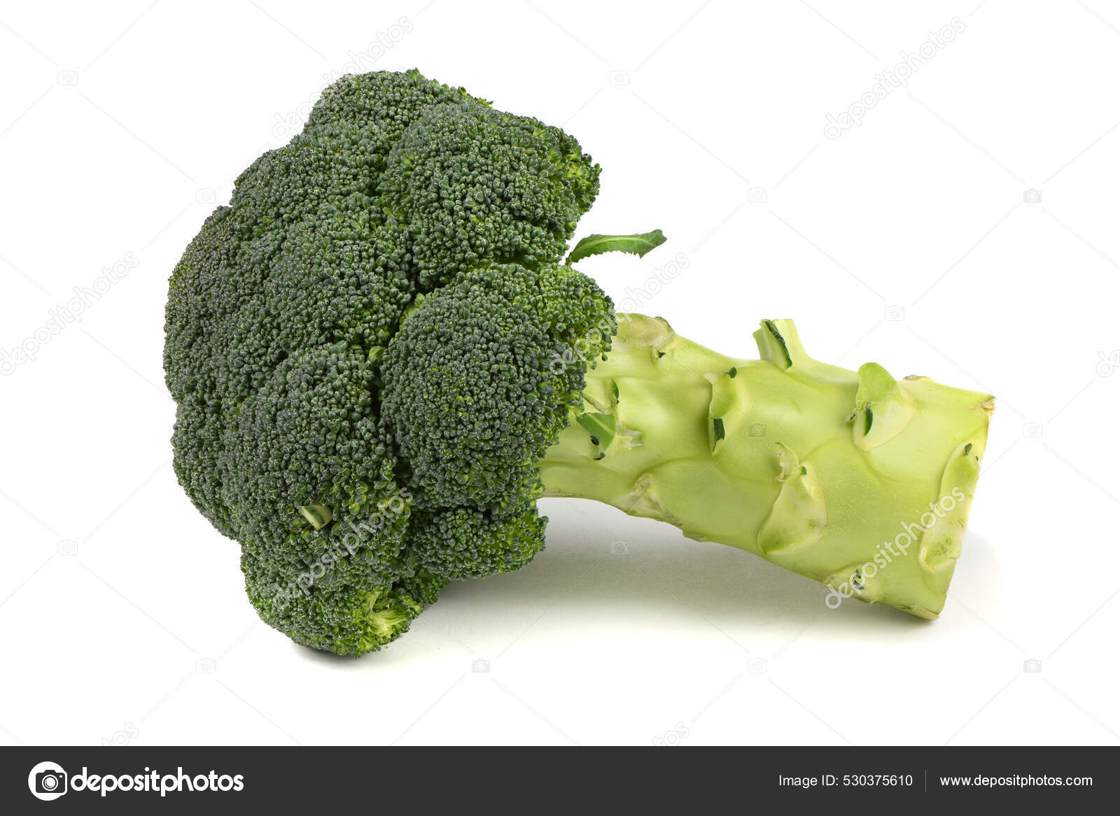 Broccoli Isolated White Background High Resolution Photo Full Depth ...