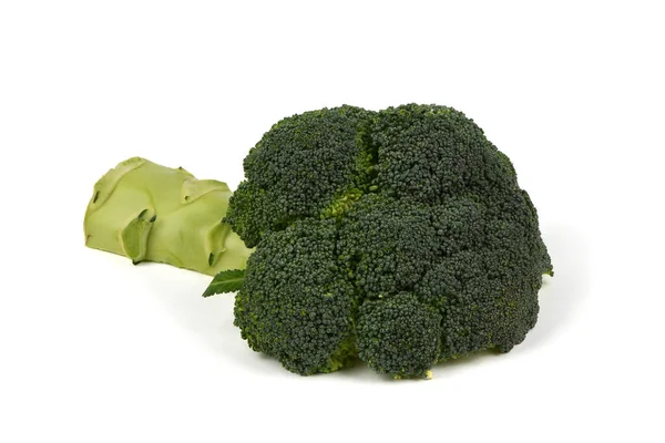 Broccoli Isolated White Background High Resolution Photo Full Depth ...