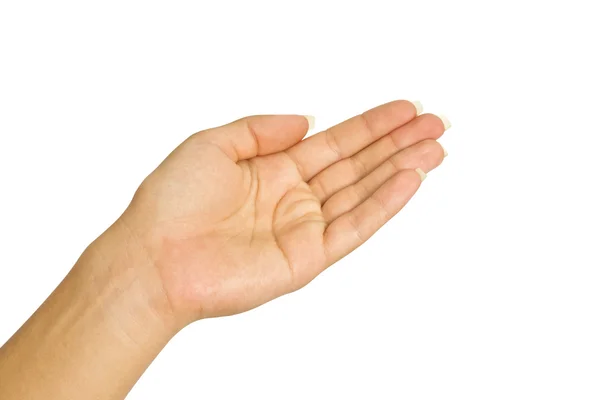 Open hands Stock Photo by ©Ivantsov 13911271