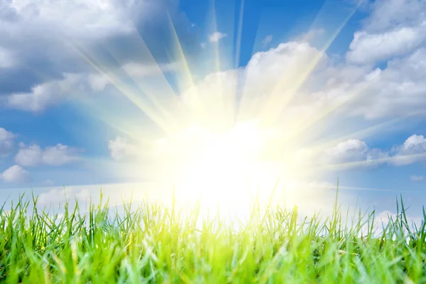 Strong sunshine beams Stock Photos, Royalty Free Strong sunshine beams ...