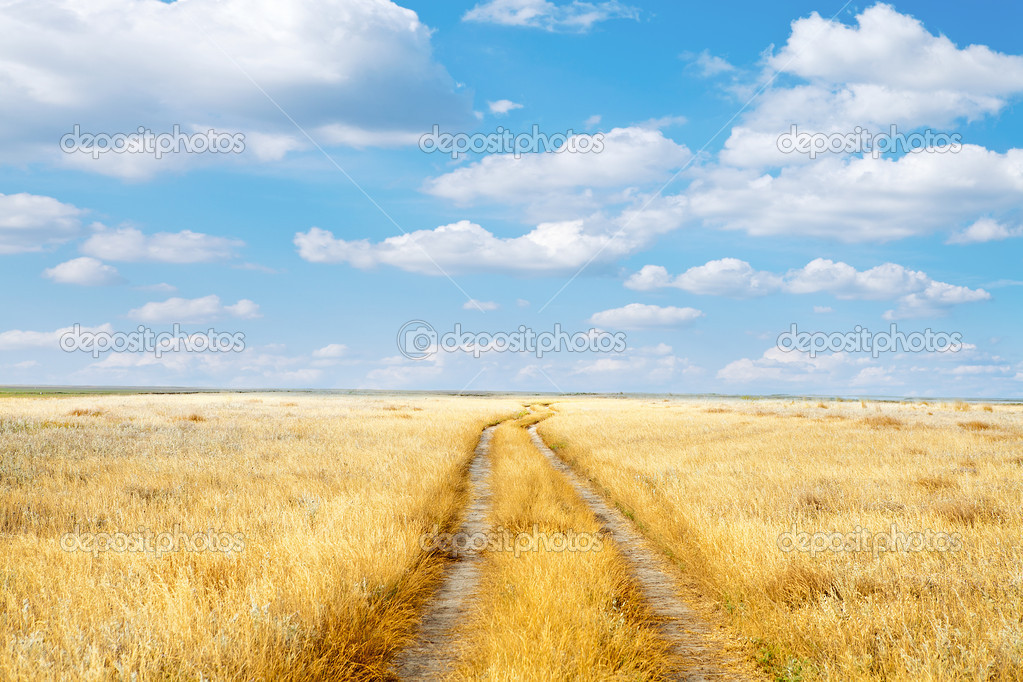 Beautiful spring field with the blue sky Stock Photo by ©Ivantsov 14256113