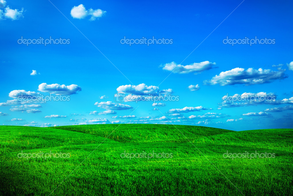 Beautiful spring field with the blue sky Stock Photo by ©Ivantsov 26213691