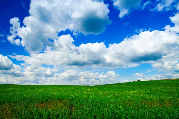 Beautiful spring field with the blue sky Stock Photo by ©Ivantsov 26213691