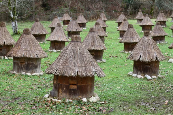 Bee colonies Stock Photos, Royalty Free Bee colonies Images | Depositphotos