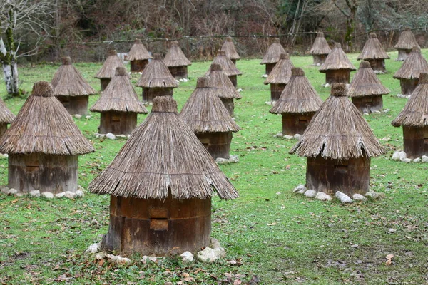 Bee colonies Stock Photos, Royalty Free Bee colonies Images | Depositphotos