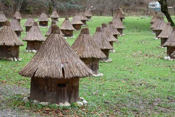 Bee colonies Stock Photos, Royalty Free Bee colonies Images | Depositphotos