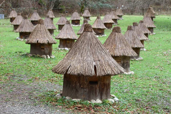 Bee colonies Stock Photos, Royalty Free Bee colonies Images | Depositphotos