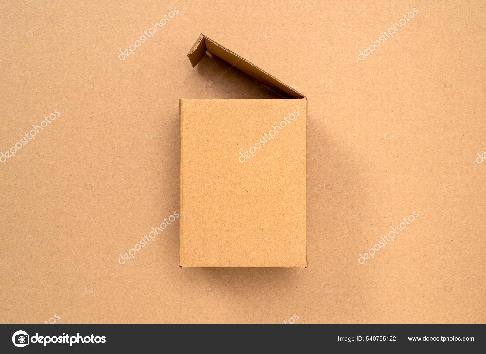 Open Cardboard Box Side View