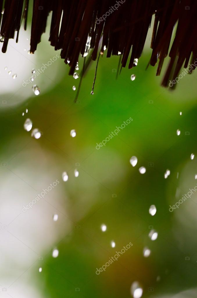 Download - Raindrops falling from straw roof with green natural ...
