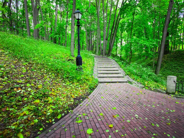 Trap met bomen Stock Photos, Royalty Free Trap met bomen Images ...