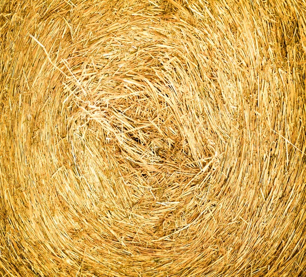 Haystack texture — Stock Photo © kantver #38570111