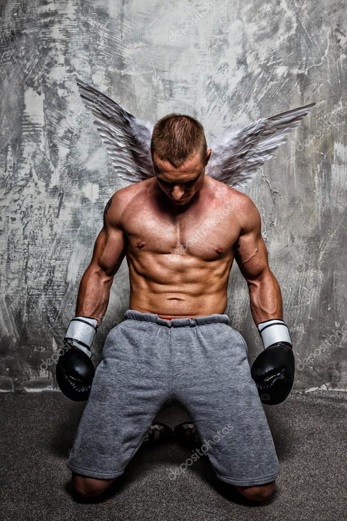 Oung boxer with angel wings behind his back standing on his knee ...