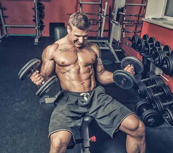 Bodybuilder - Stock Image - Everypixel