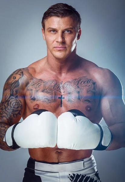 Boxer man - Stock Image - Everypixel