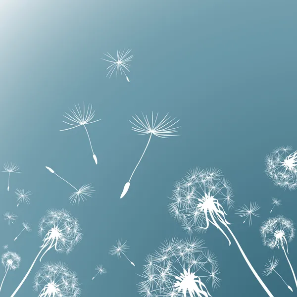 Blow dandelion Vector Art Stock Images | Depositphotos