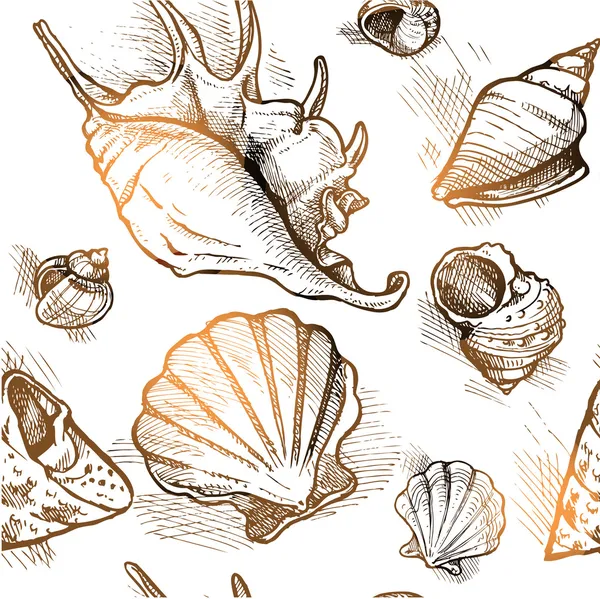 Shell shapes Vector Images | Depositphotos