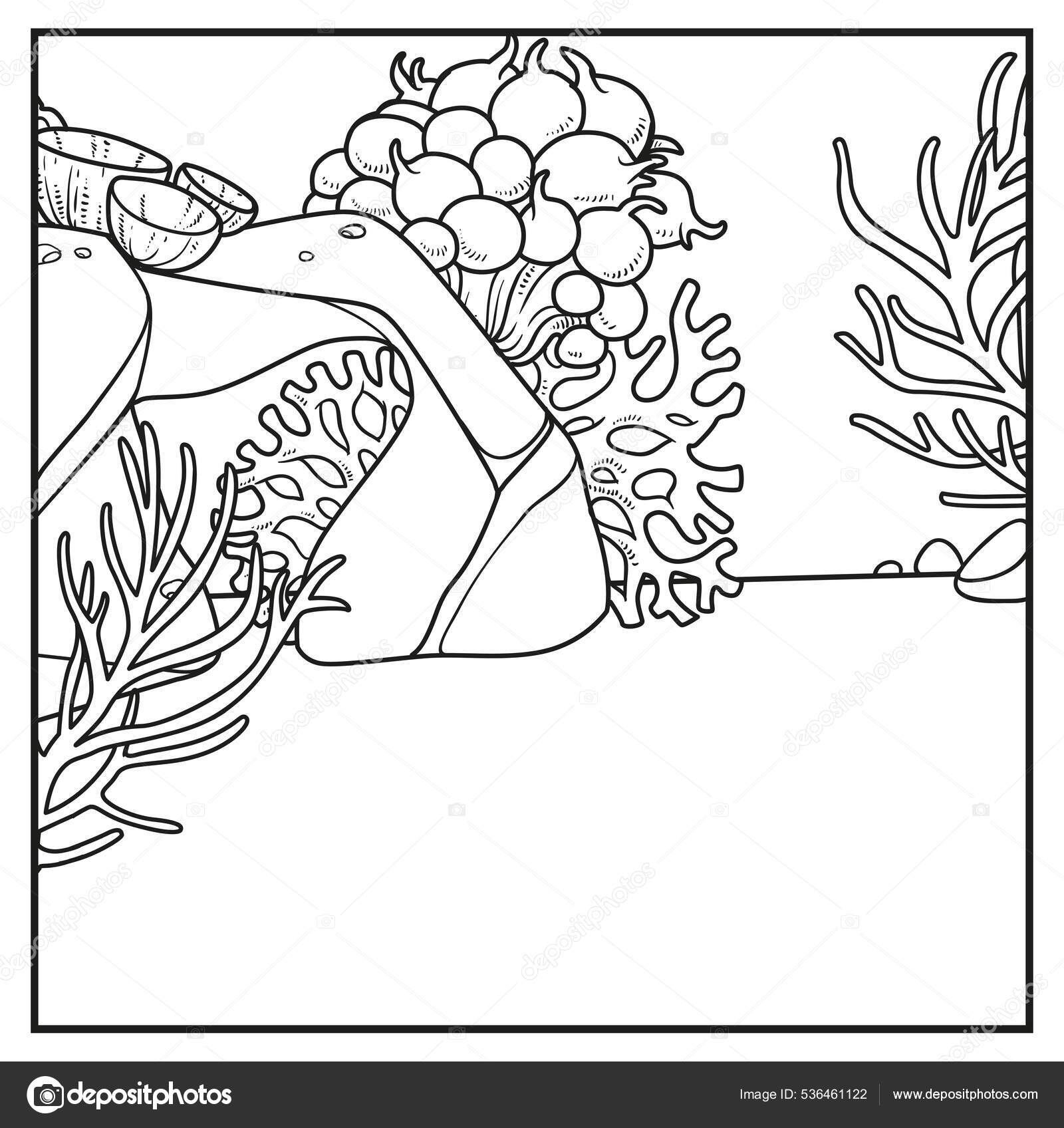 Simple Coral Drawings