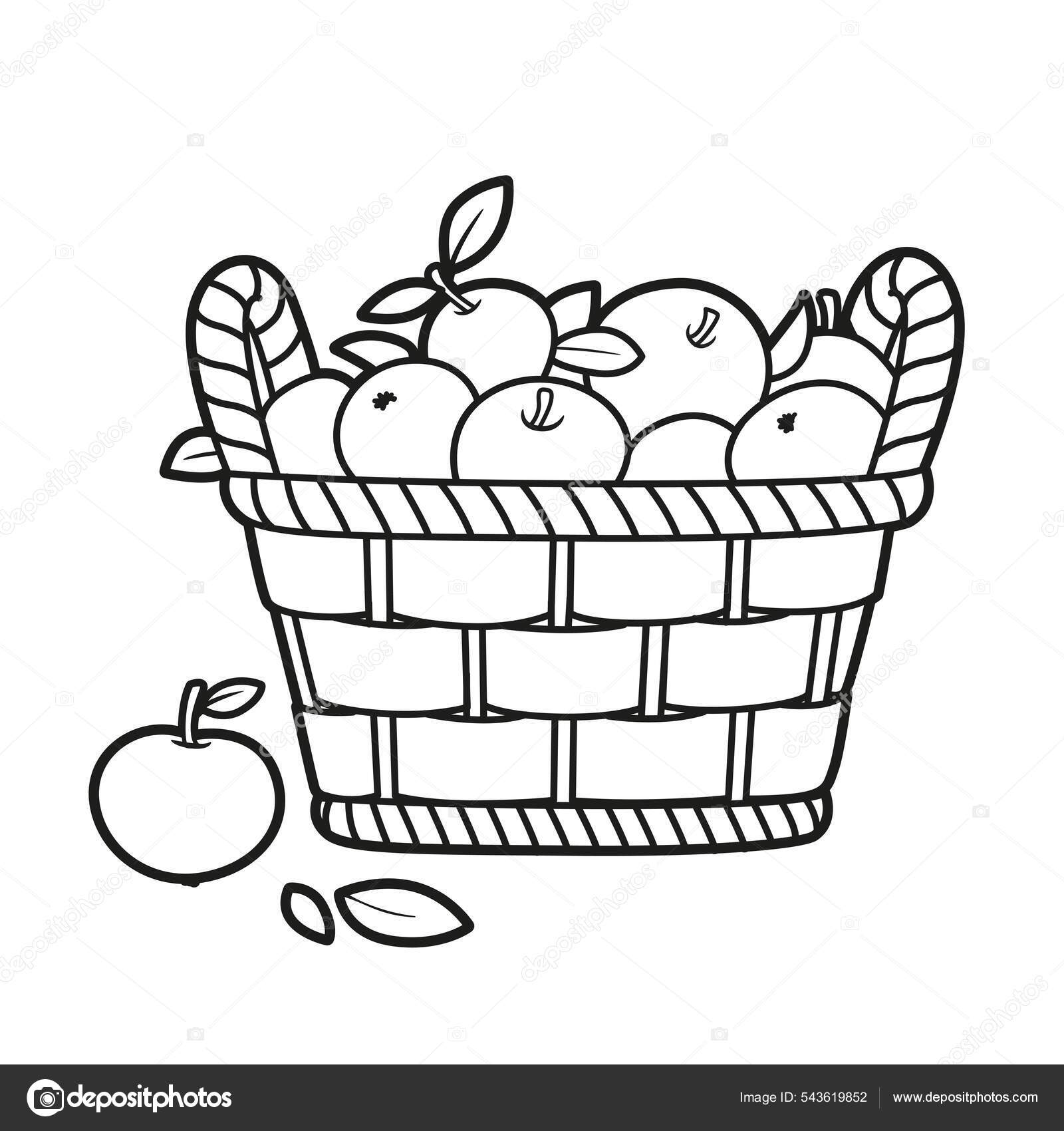 Apples In A Basket Coloring Pages