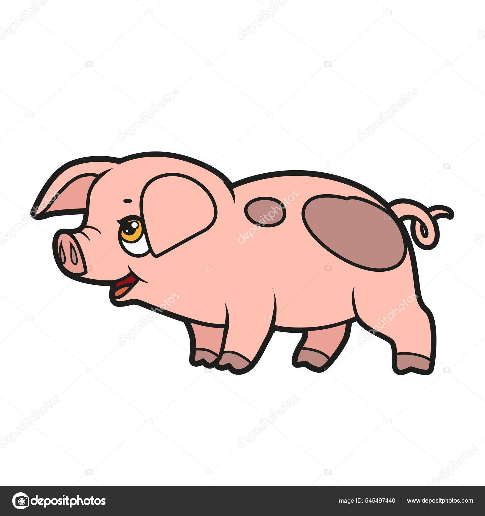 Linda Variación Color Cerdo Dibujos Animados Para Colorear Libro Sobre ...