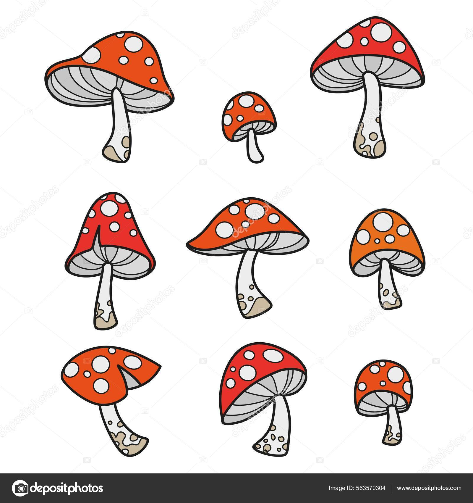 Alchemical Ingredient Amanita Mushrooms Separately Color Variation ...