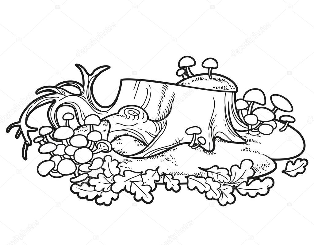 Big low stump with parasitic overgrowth toadstools and moss linear ...