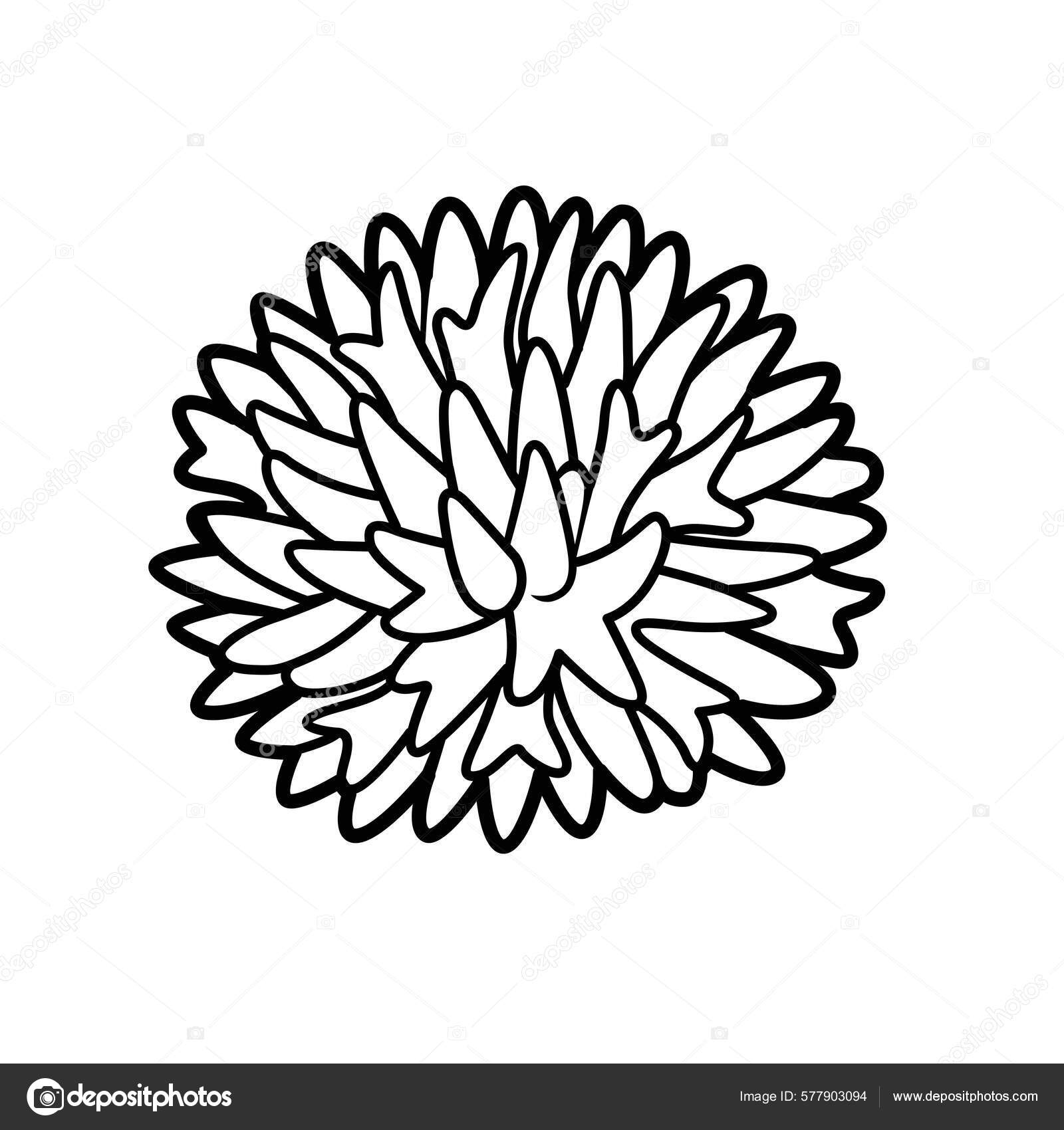 Korall Farge Bakgrunn